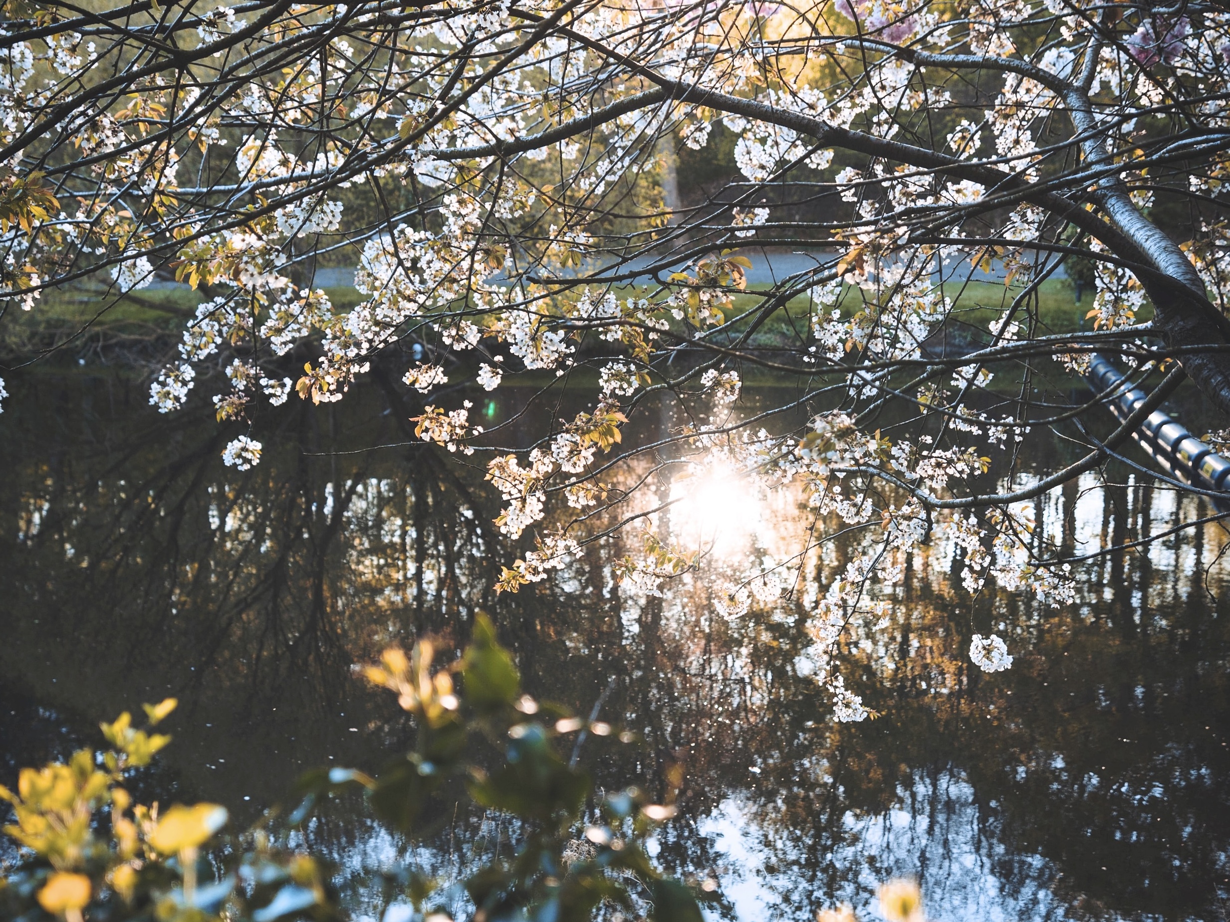 季節の変わり目に 前編 | たまプラーザの美容院・美容室 Din kant【ディンカント】