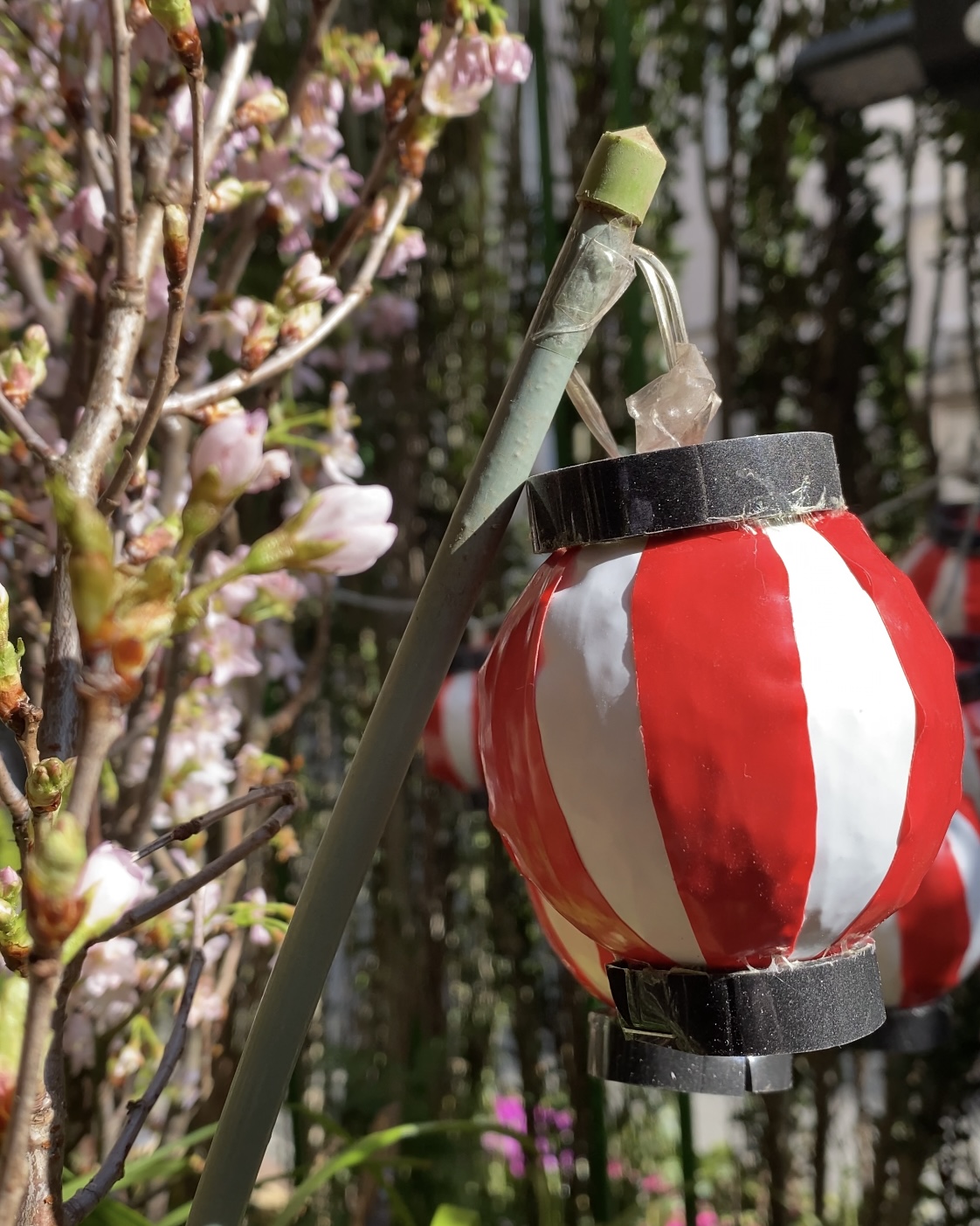 桜の季節が近づいて | たまプラーザの美容院・美容室 Din kant【ディンカント】